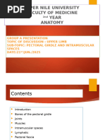 Triangularinterval Wikipedia 1745132625808 | PDF | Limbs (Anatomy ...