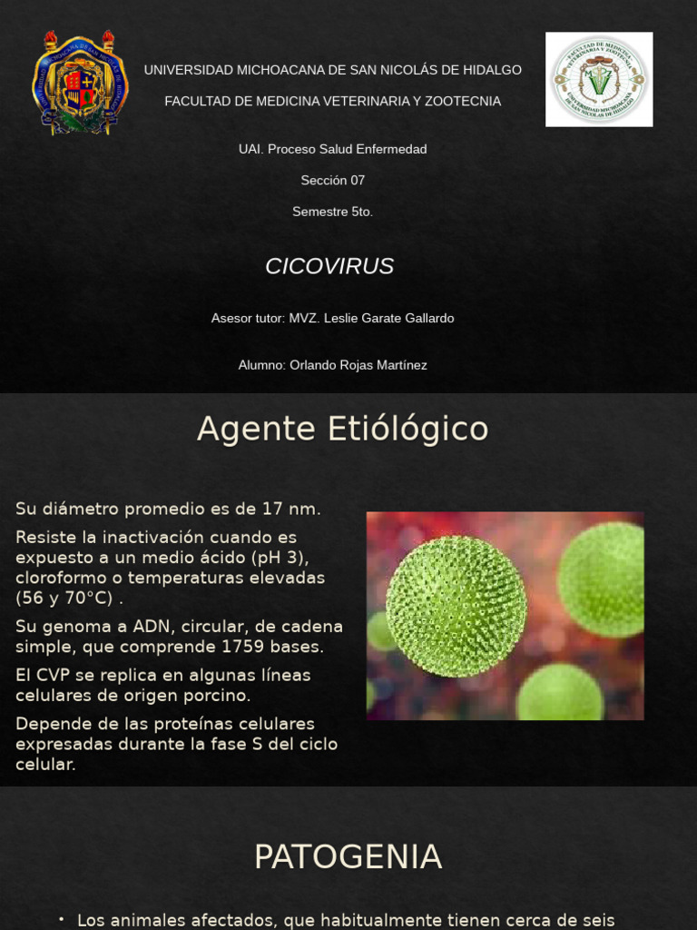 Circovirus Porcino | PDF