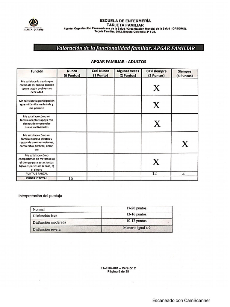 Formato Apgar Familiar | PDF