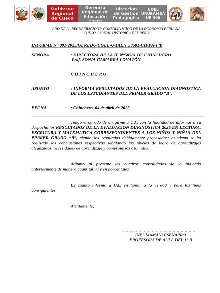 Informe de Evaluacion Diagnostica 2025 | PDF