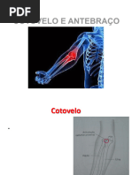 Cinesiologia e Biomecânica do Cotovelo | PDF | Cotovelo | Articulações