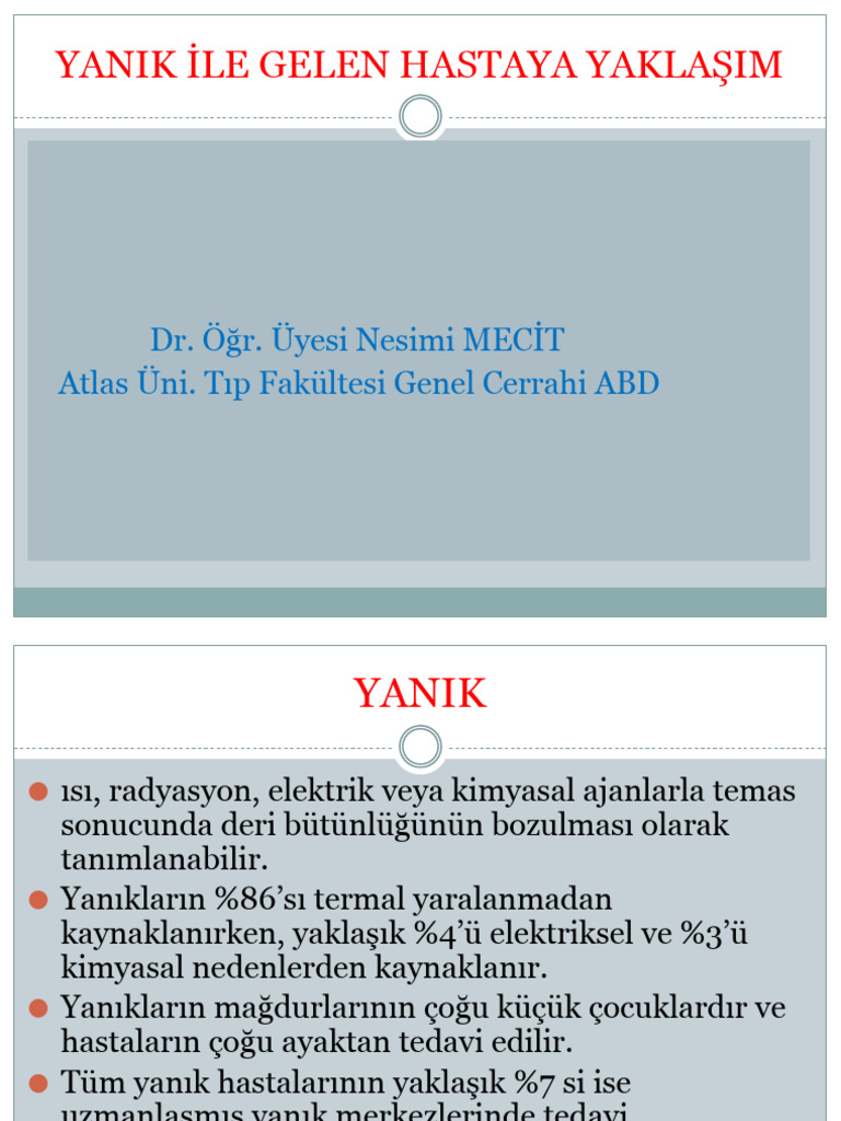 40 Yanik | PDF