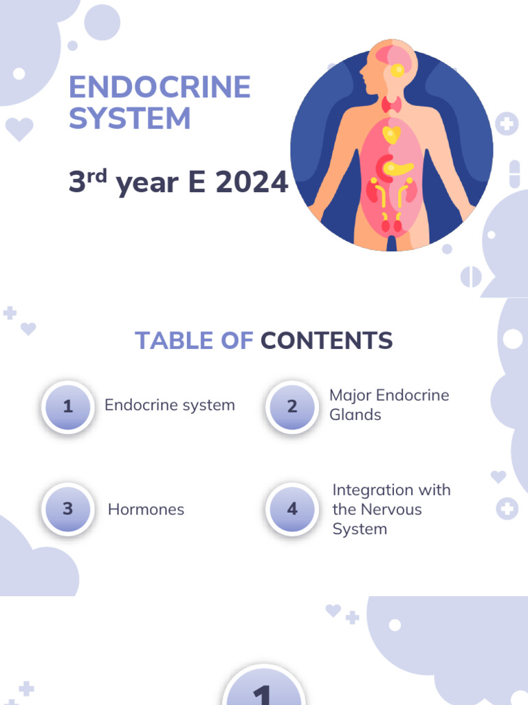 PowerPoint Endocrine System | PDF | Endocrine System | Hormone