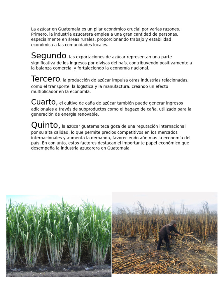 Importancia del azúcar en Guatemala | PDF