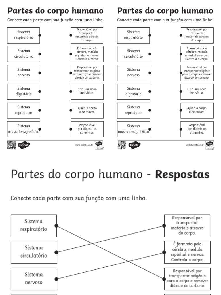 Funções das Partes do Corpo Humano | PDF | Corpo humano | Anatomia dos ...