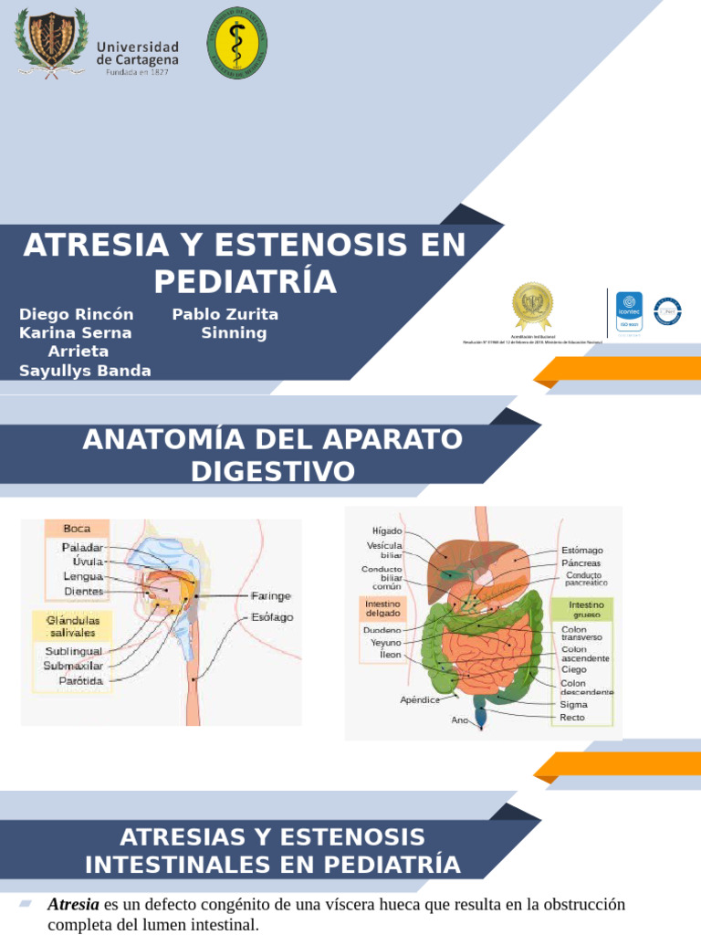 Atresia y Estenosis Intestinal en Pediatría | PDF | Tracto ...