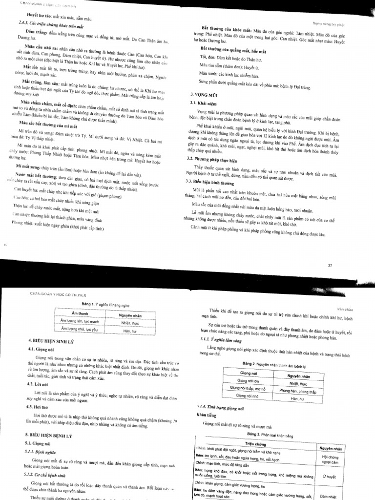 Scan2024 11 22 - 110235 | PDF