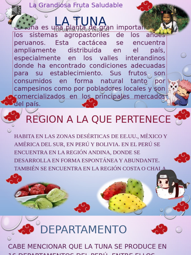 Importancia de la Tuna en Perú | PDF | Perú