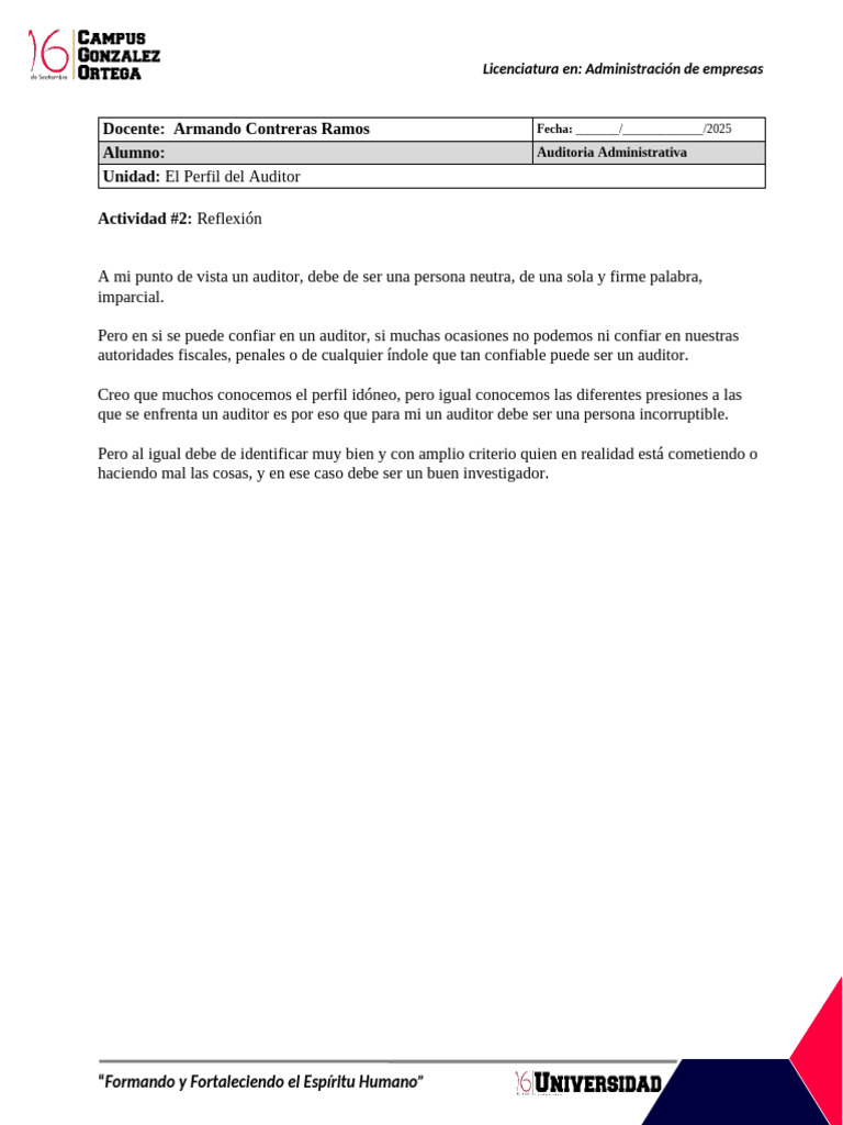 PERFIL DEL AUDITOR JAG | PDF