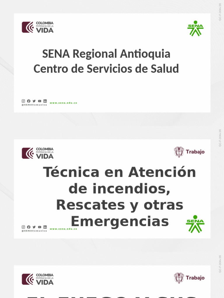 Fuego y Fenomenos | PDF | Incendios | Combustión