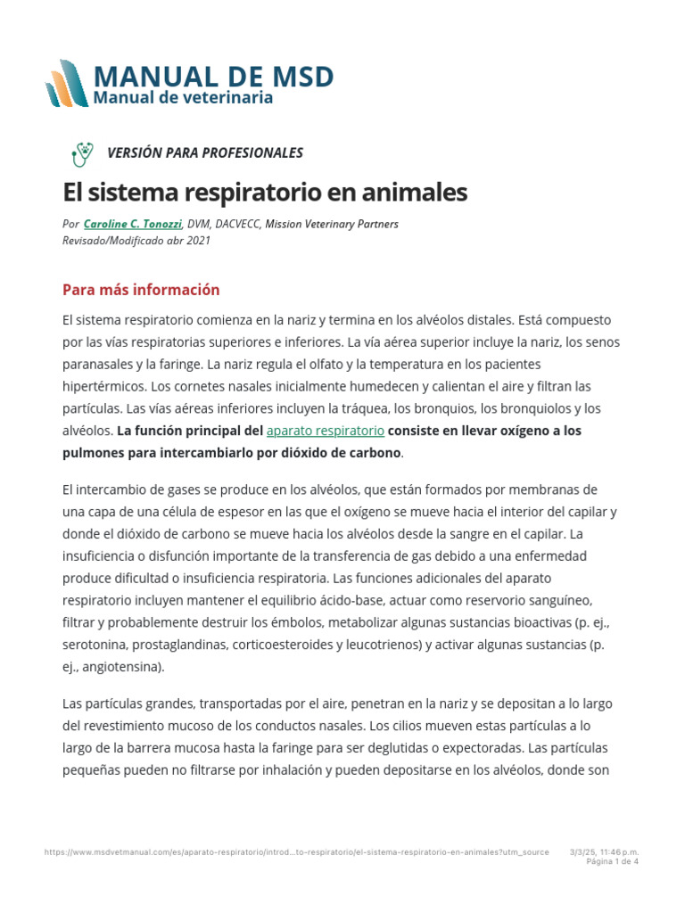 El Sistema Respiratorio en Animales - Aparato Respiratorio - Manual de ...