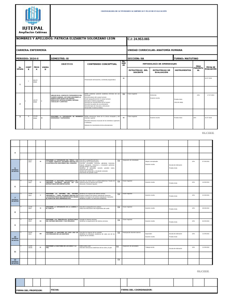 Formato de Cronograma de Actividades 2024-II (Clases Dos Dias A La Semana) - Profesores II | PDF ...