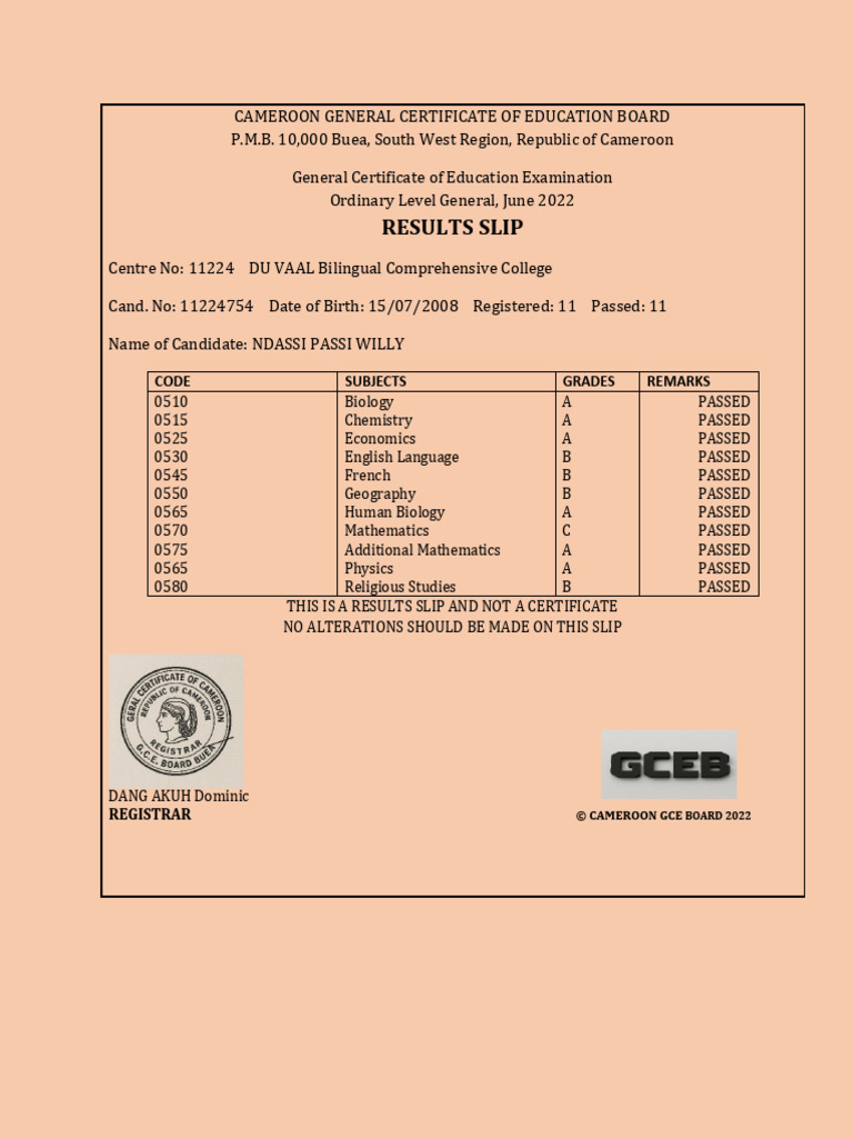 Willy Result Slip | PDF
