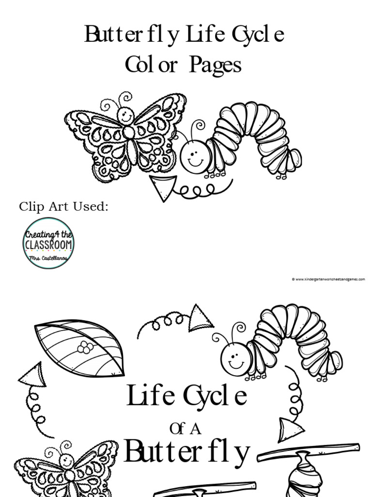 Butterfly Life Cycle Printables | PDF