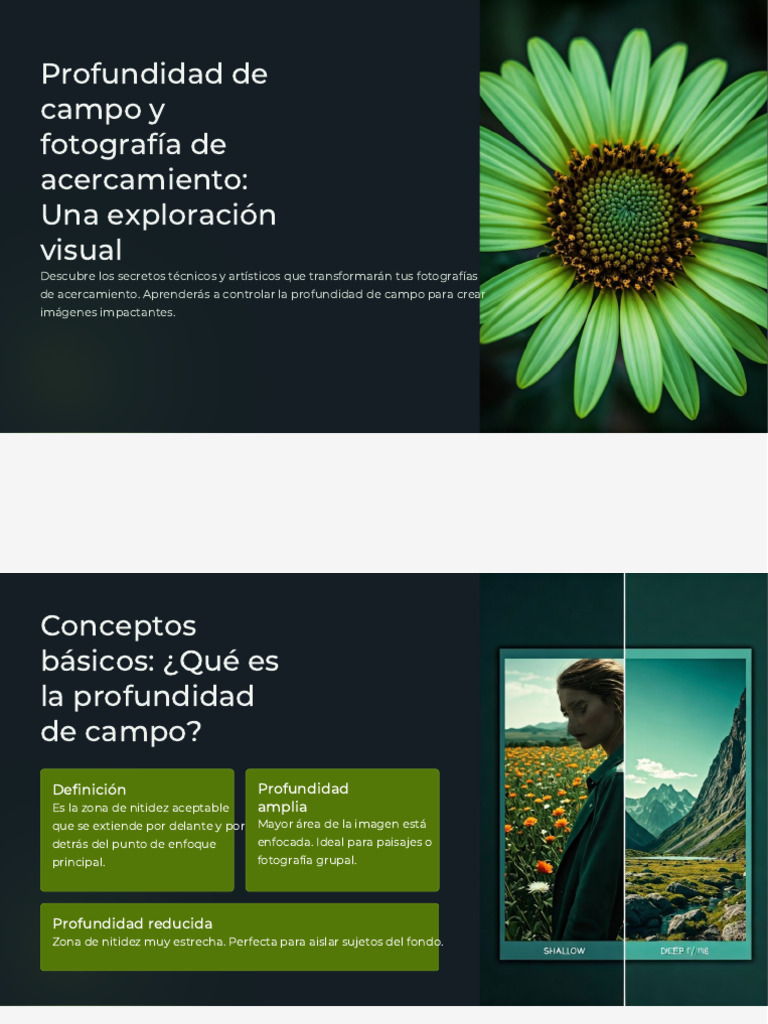 Profundidad de Campo y Fotografia de Acercamiento Una Exploracion ...