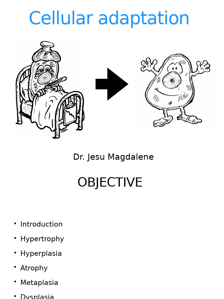 Cellular Adaptation | PDF