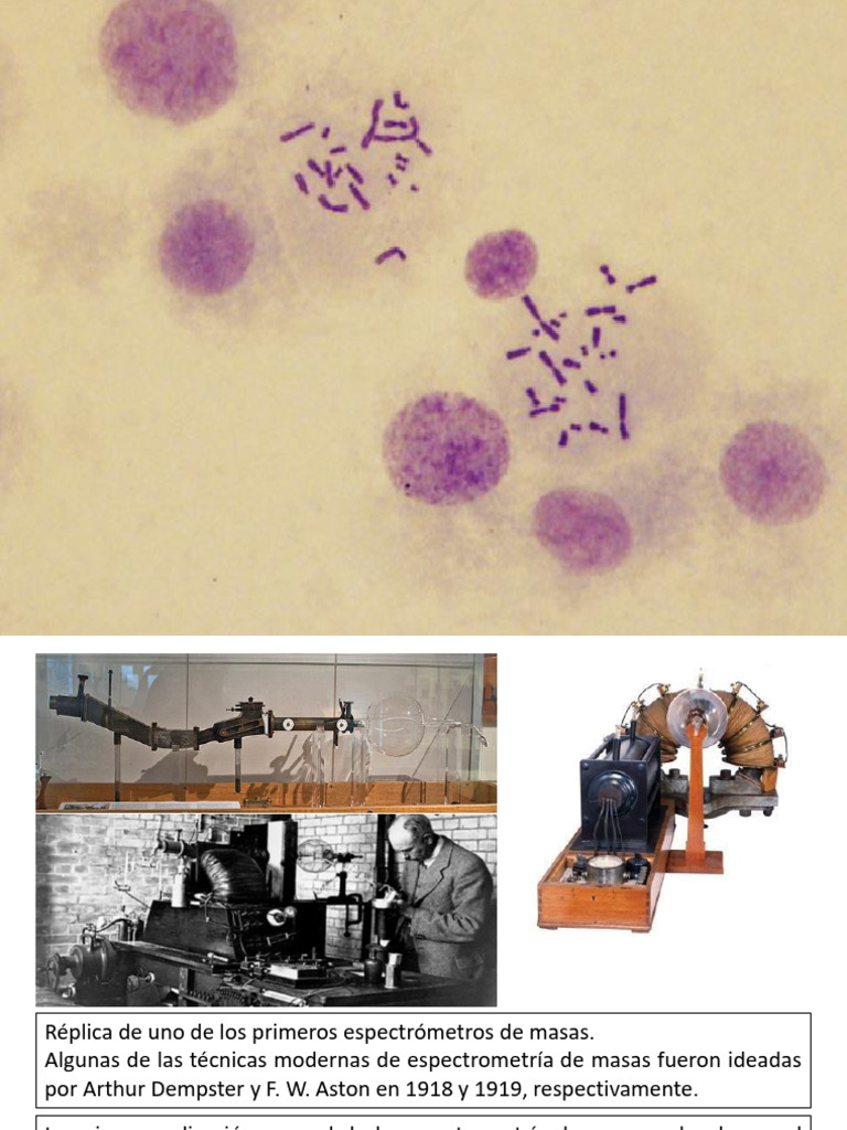 20 - Espectrometría de Masas Molecular | PDF | Espectrometría de masas ...
