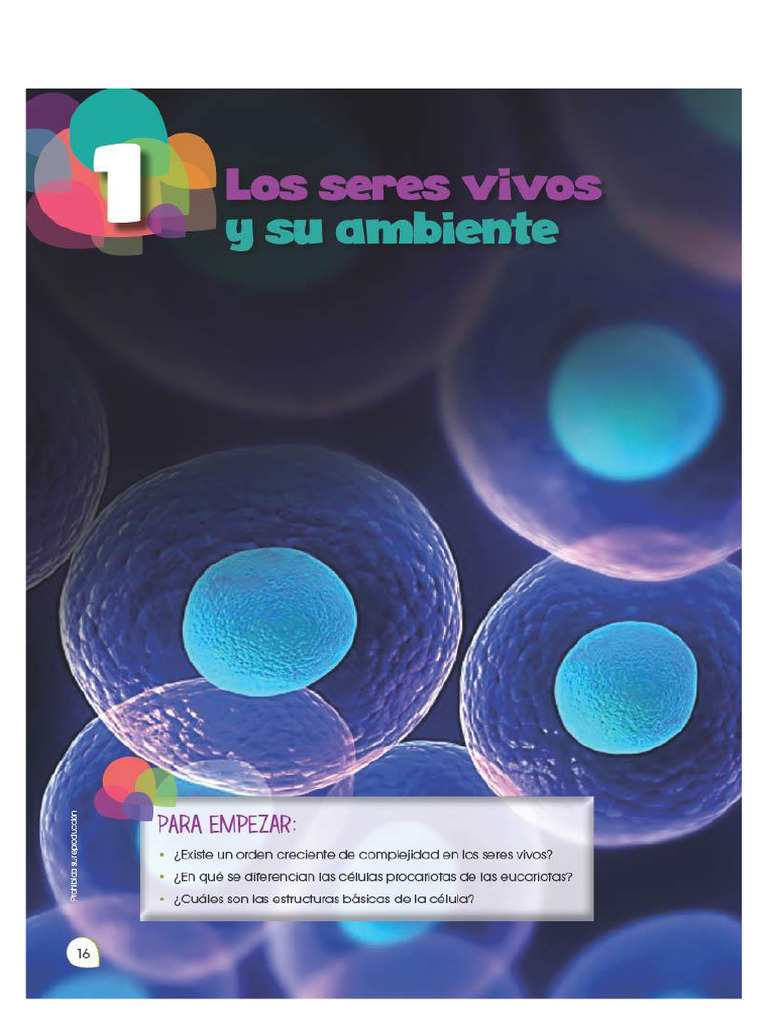 Unidad 1 - Octavo Año Egb | PDF