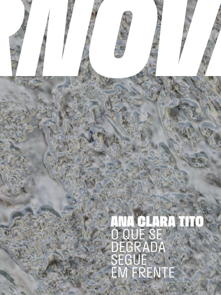 MAM Rio Supernova Ana Clara Tito | PDF