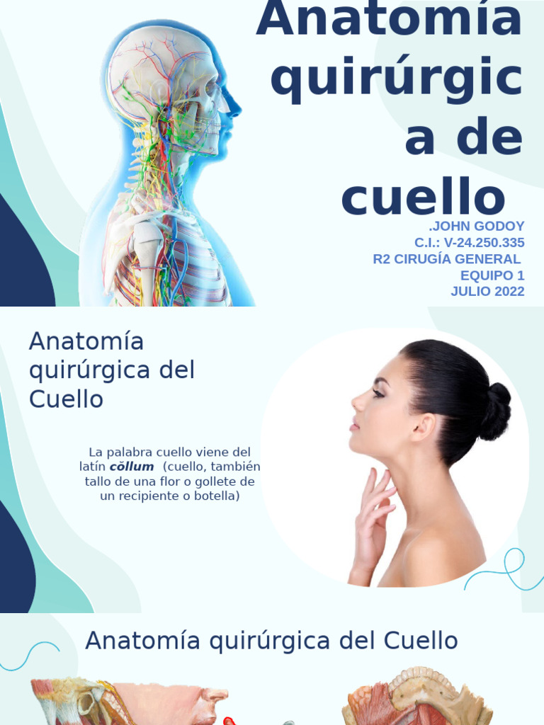 Anatomia Quirurgica de Cuello | PDF | Anatomía humana | Cabeza y cuello humanos