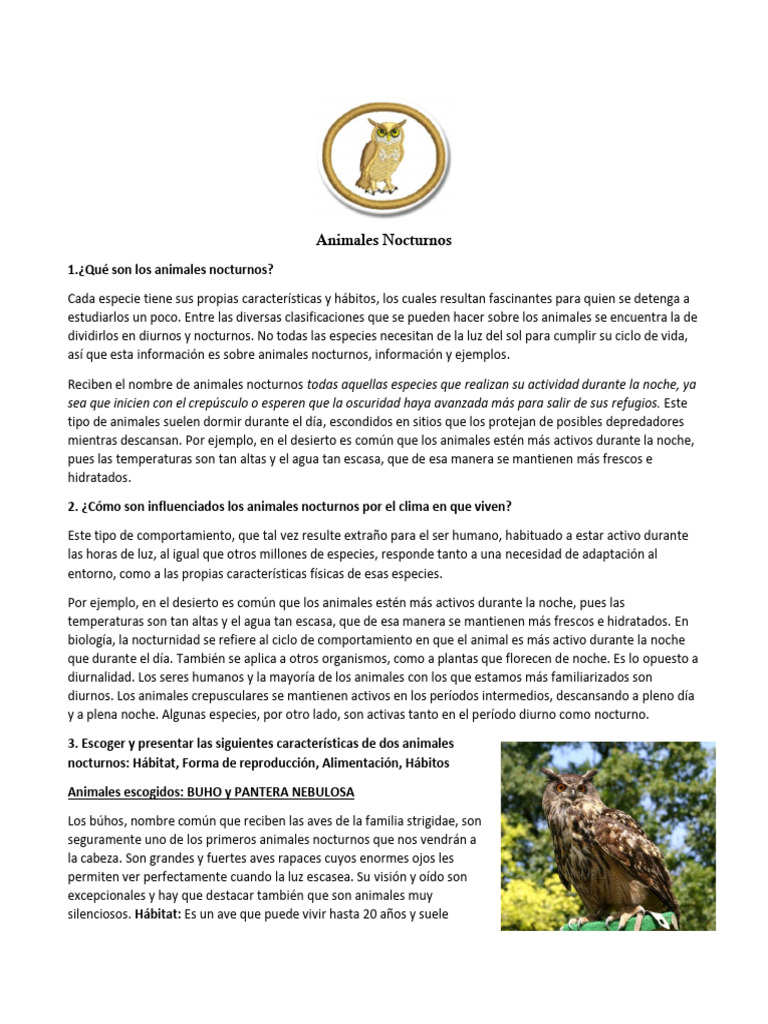 Animales Nocturnos 2025 | PDF | Zoología