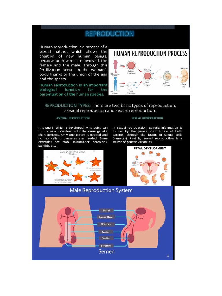 Biology Sexuality | PDF