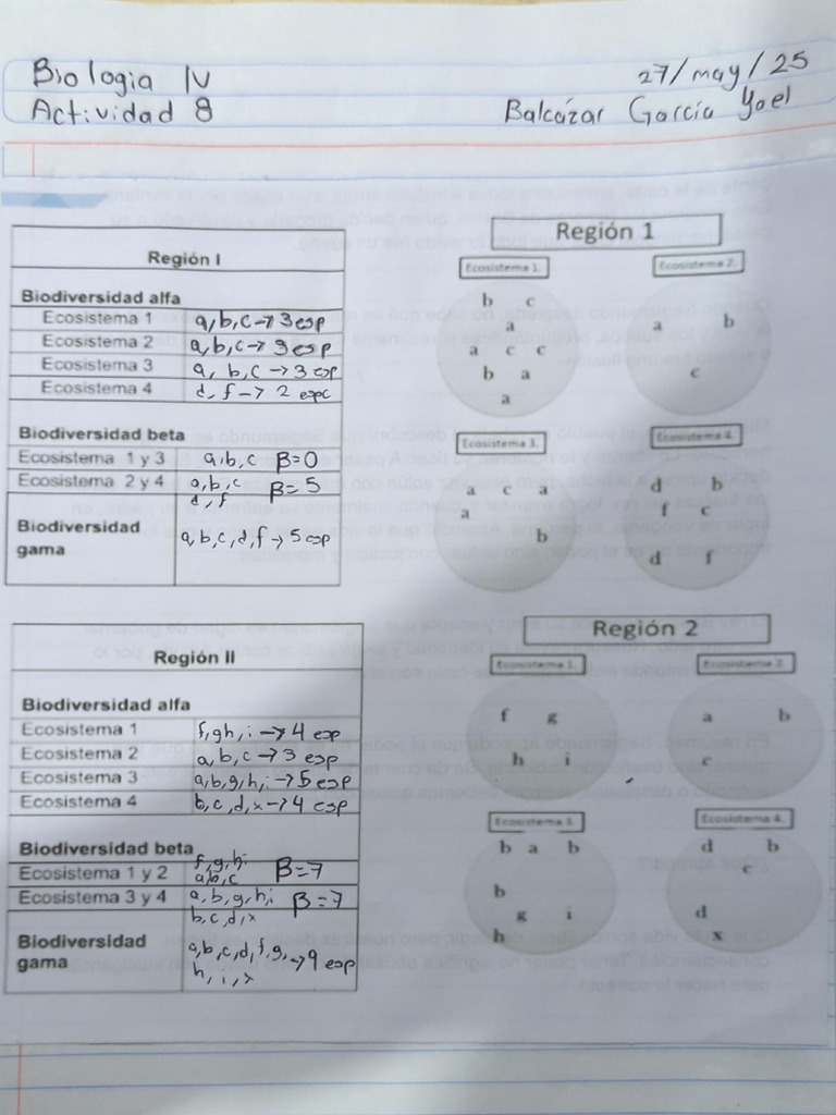 Act8 - BalcazarYael. Office Lens | PDF