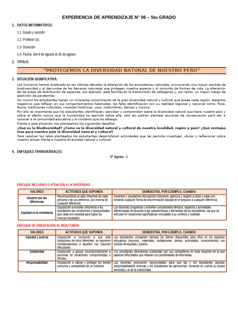 5° Grado - Experiencia de Aprendizaje N°06 | PDF | Geometría | Decimal