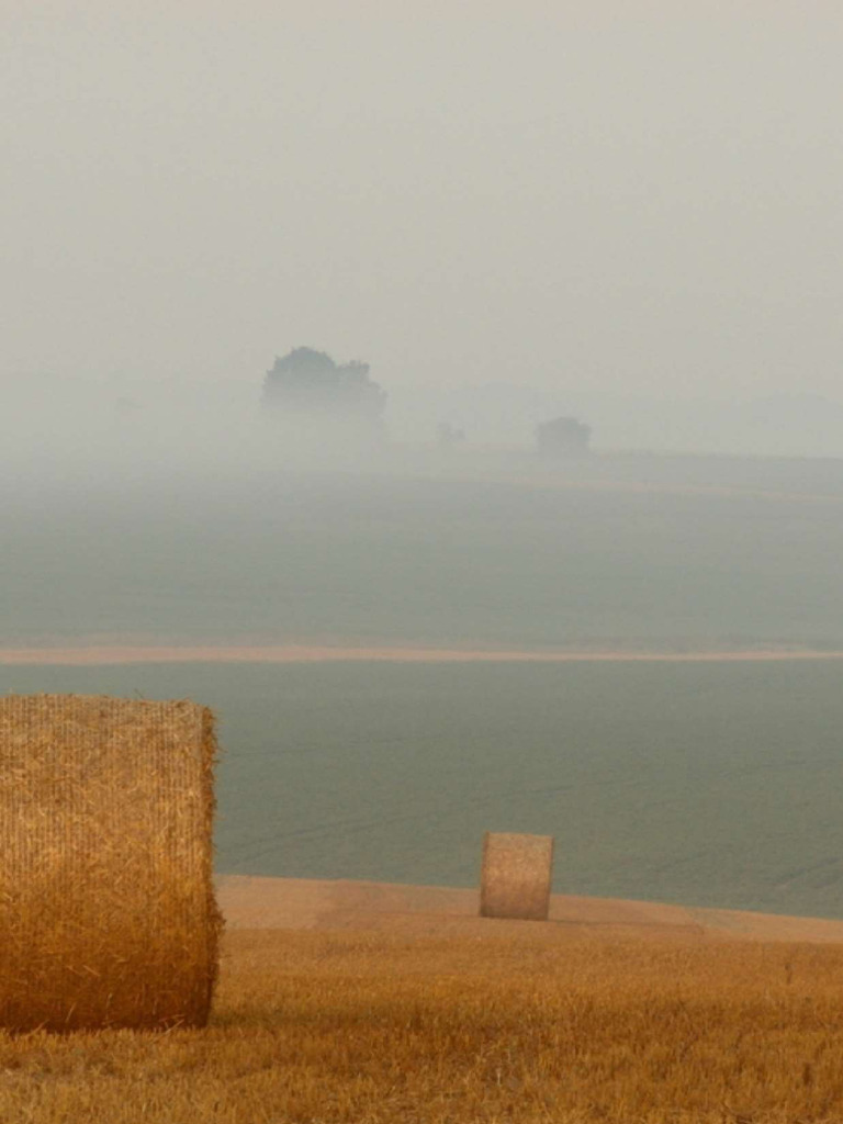 Soal Comprensive Lat | PDF