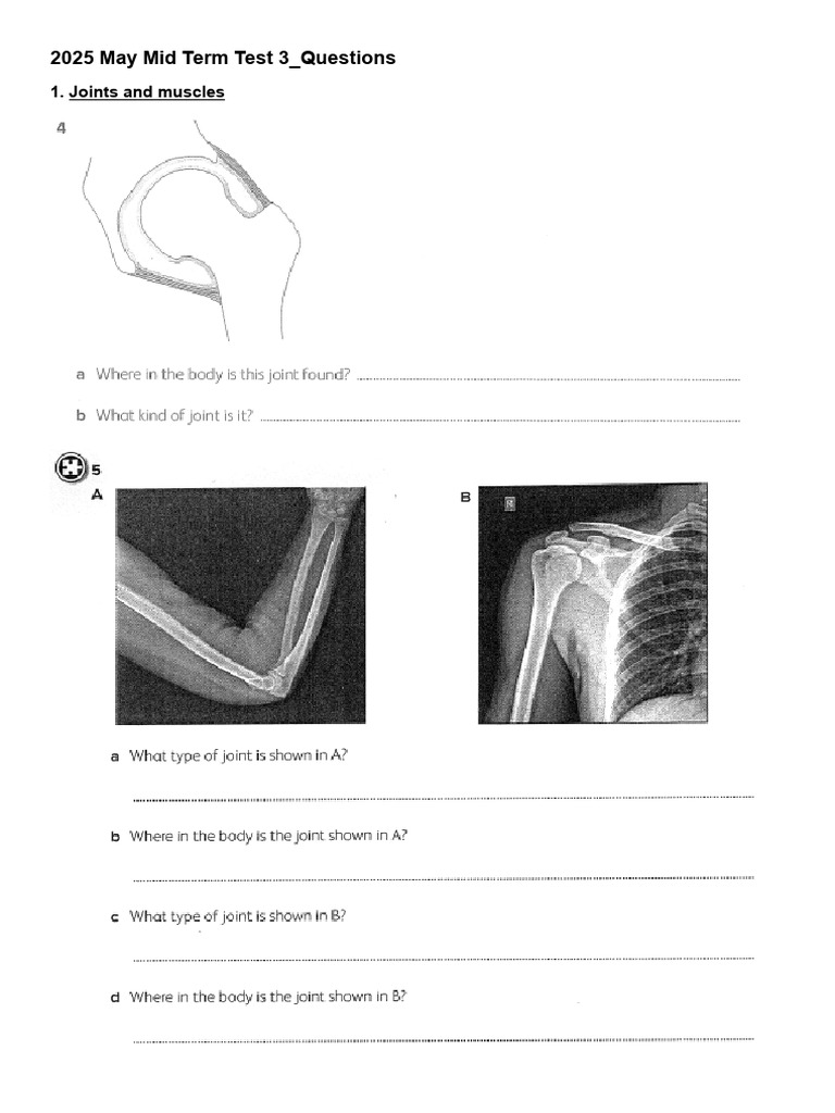 2025 May Mid Term Test 3 - Questions | PDF
