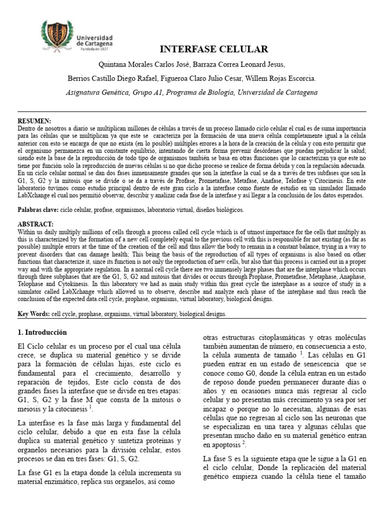 Interfase Celular | PDF | Biología Celular | Mitosis
