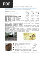 Dejepis 5. Rocnik | PDF