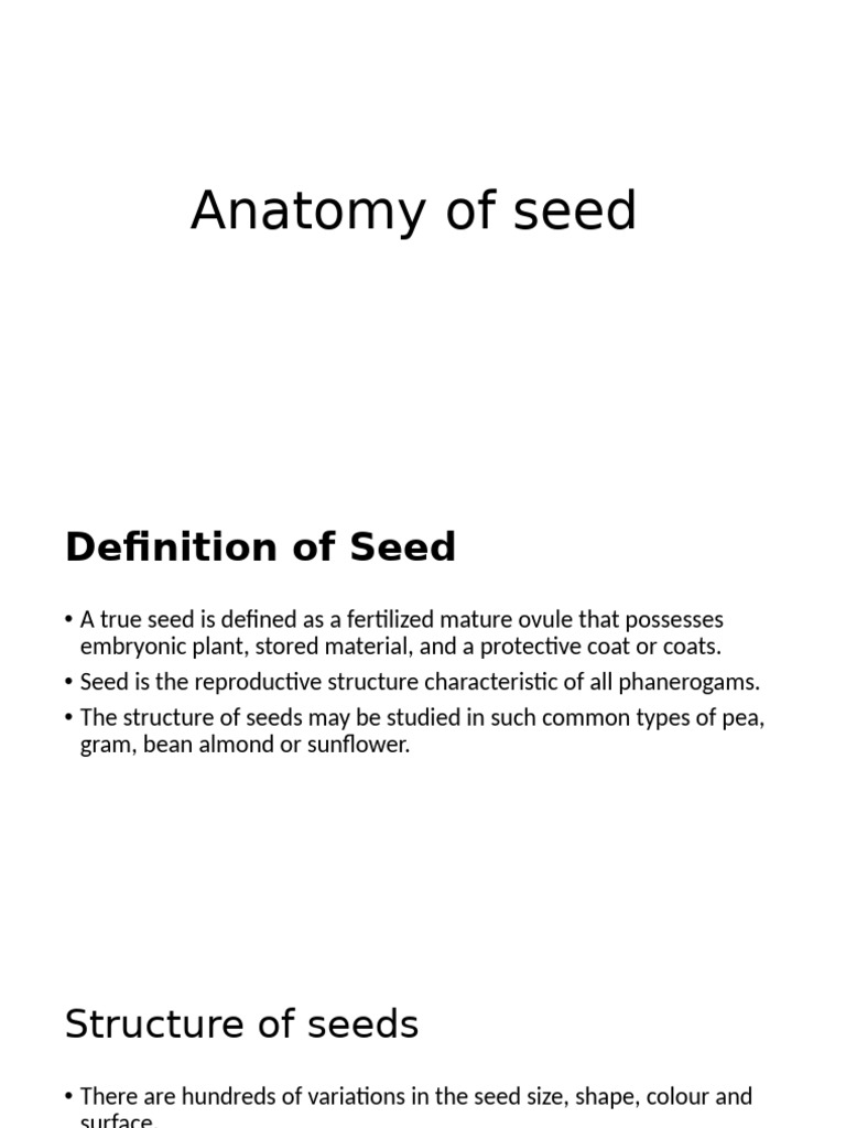 Seed Anatomy and Structure Explained | PDF | Seed | Horticultural ...