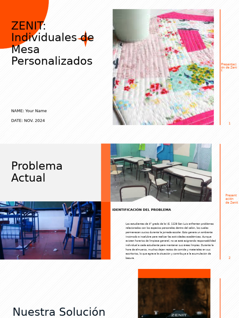 Zenit 1 | PDF | La satisfacción del cliente | Producto (Negocio)