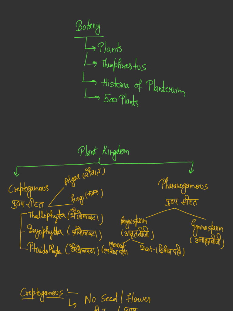 Botany 1 - 284757 | PDF