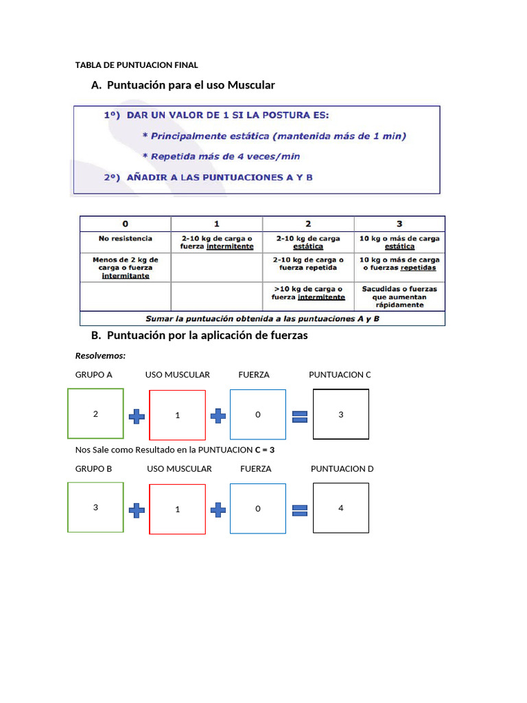 Tabla de Puntuacion Rula | PDF