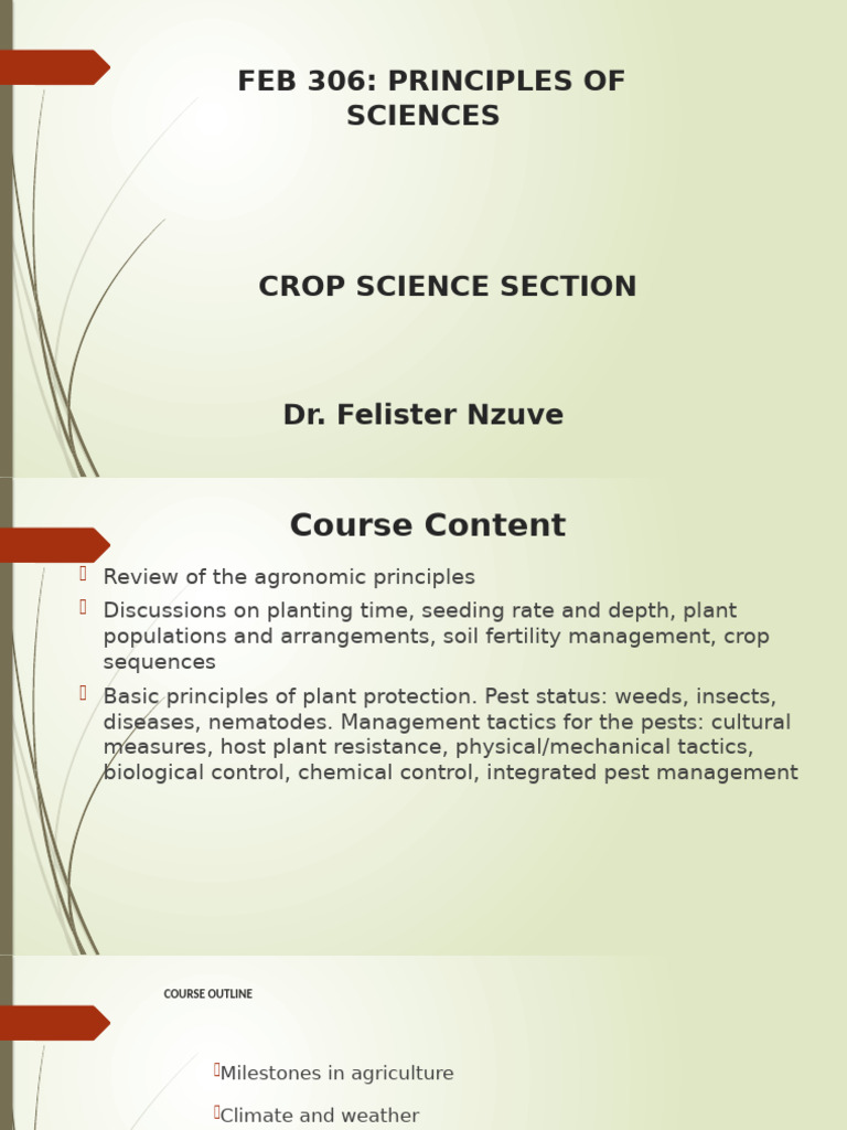 Feb 306 Course Outline | PDF