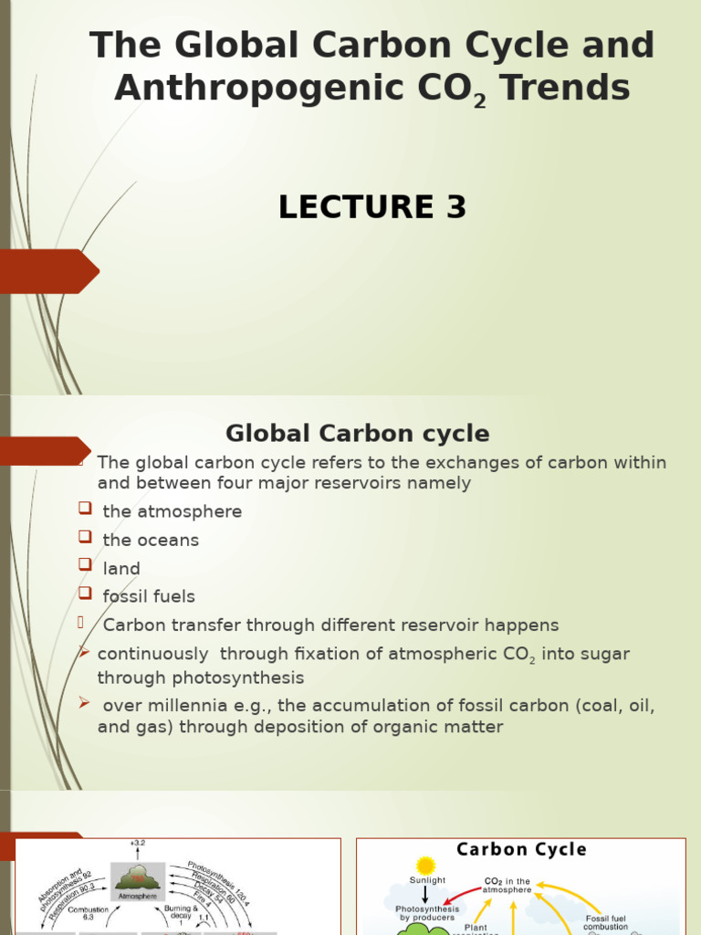 LECTURE 3 Global Carbon Cycle and Anthropogenic CO2 Trends | PDF ...