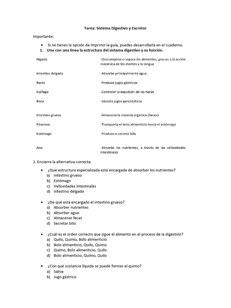 Tarea Digestivo Excretor | PDF