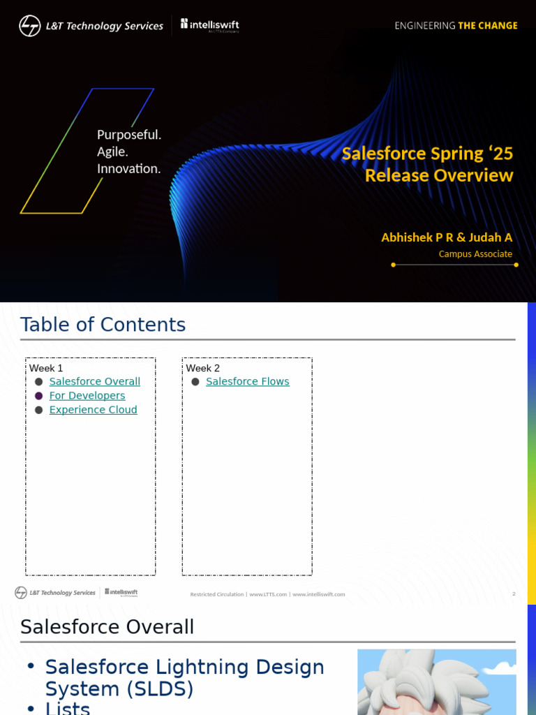 Salesforce Spring '25 Release Overview | PDF | Automation | Software ...