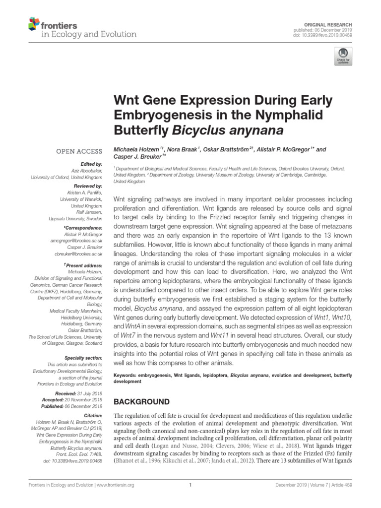 Wnt Gene Expression During Early Embryogenesis in Wnt Gene Expression ...