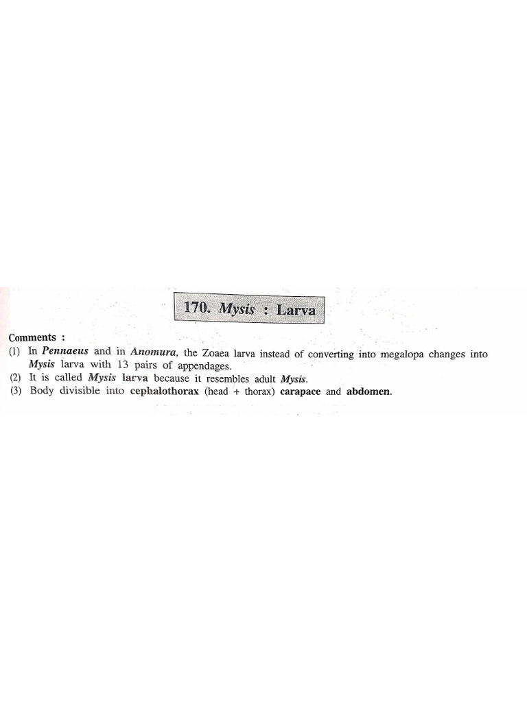 Phylum Arthropoda (English Medium) | PDF