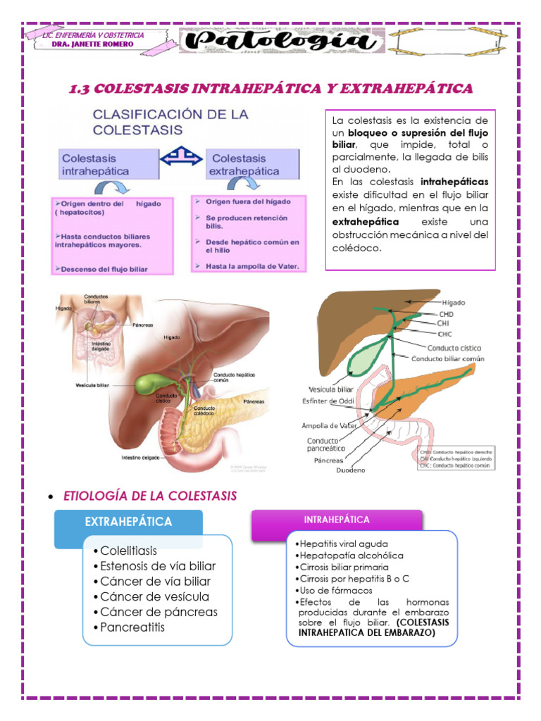Tema 1.3 Colestasis Intra y Extrahepatica | PDF | Bilis | Hígado
