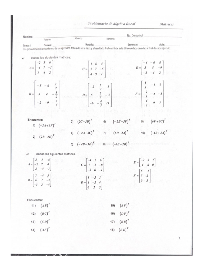 Algebra Lineal Matrices Ejercicos | PDF