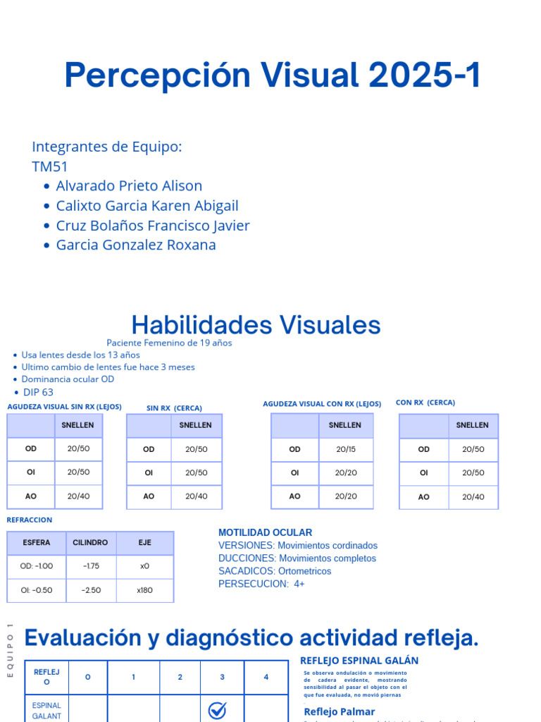 Habilidades Visuales - EXPO | PDF | Terapia | Economía de la Salud