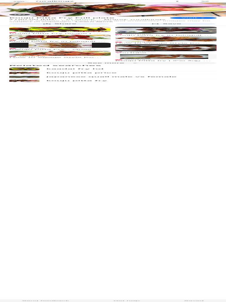 Kouju Pitta - Google Search | PDF