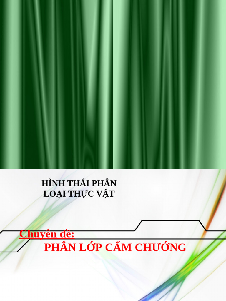 Phan Lop Cam Chuong | PDF