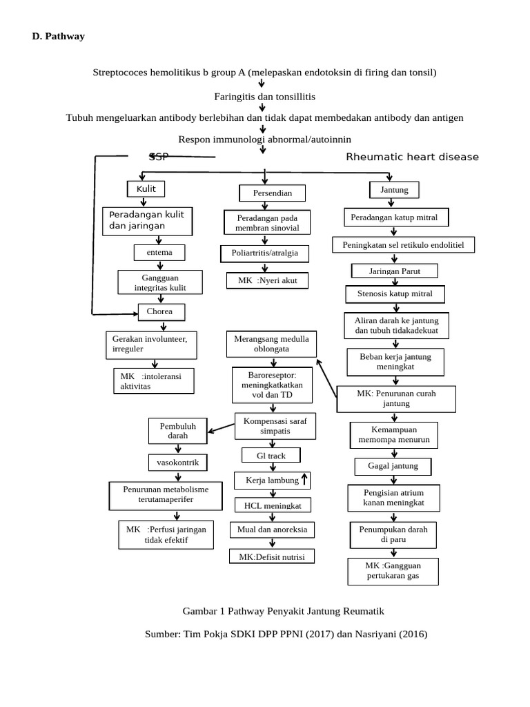 Pathway Penyakit Jantung Reumatik | PDF