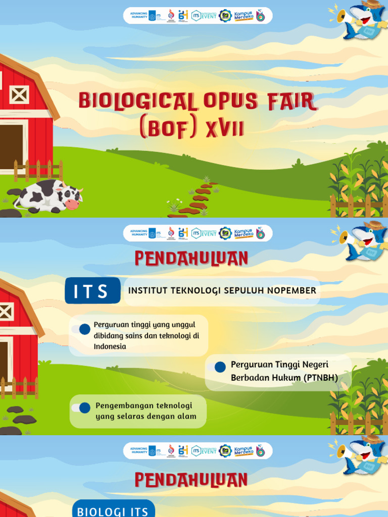 PPT VISIT BOF XVII | PDF