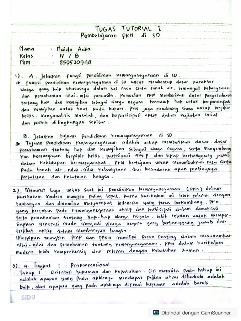 TT 1 Pembelajaran PKN Di SD - Naida Aulia | PDF